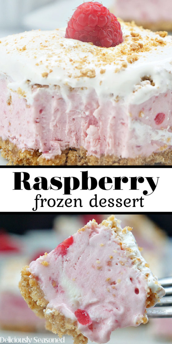 Frozen Raspberry Dessert Recipe - Deliciously Seasoned