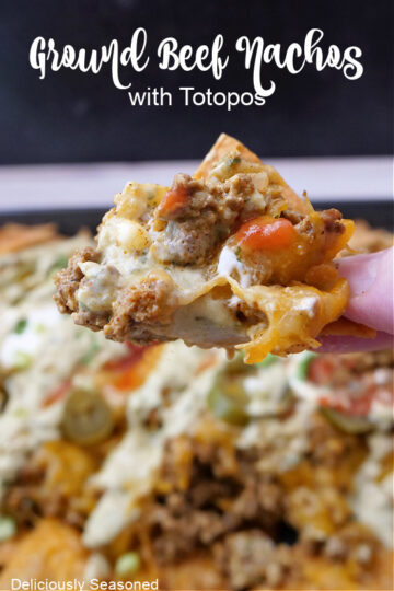 Crispy Corn Totopos with Beef and Cheese