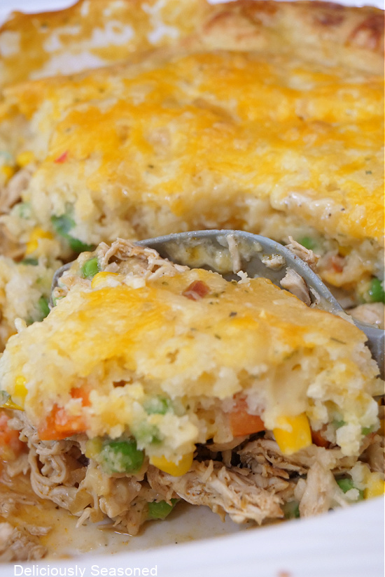 Chicken Cobbler