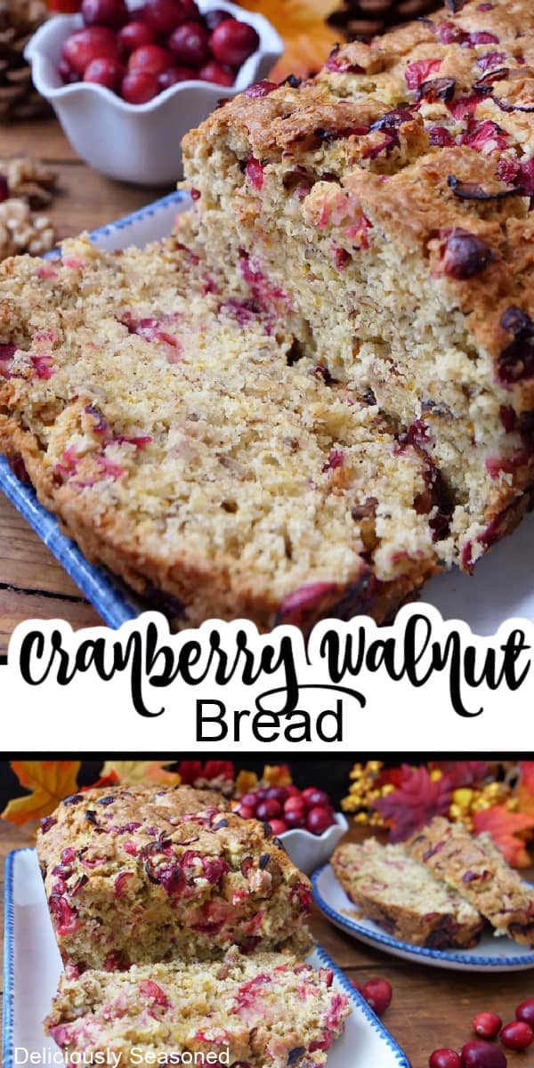 Cranberry Walnut Bread - Deliciously Seasoned