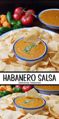 Fiery Habanero Salsa - Deliciously Seasoned