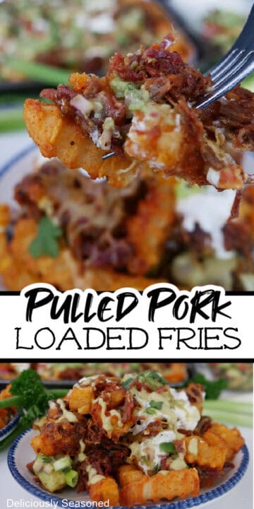 Pulled Pork Loaded Fries - Deliciously Seasoned