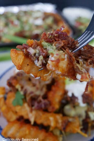 Pulled Pork Loaded Fries - Deliciously Seasoned
