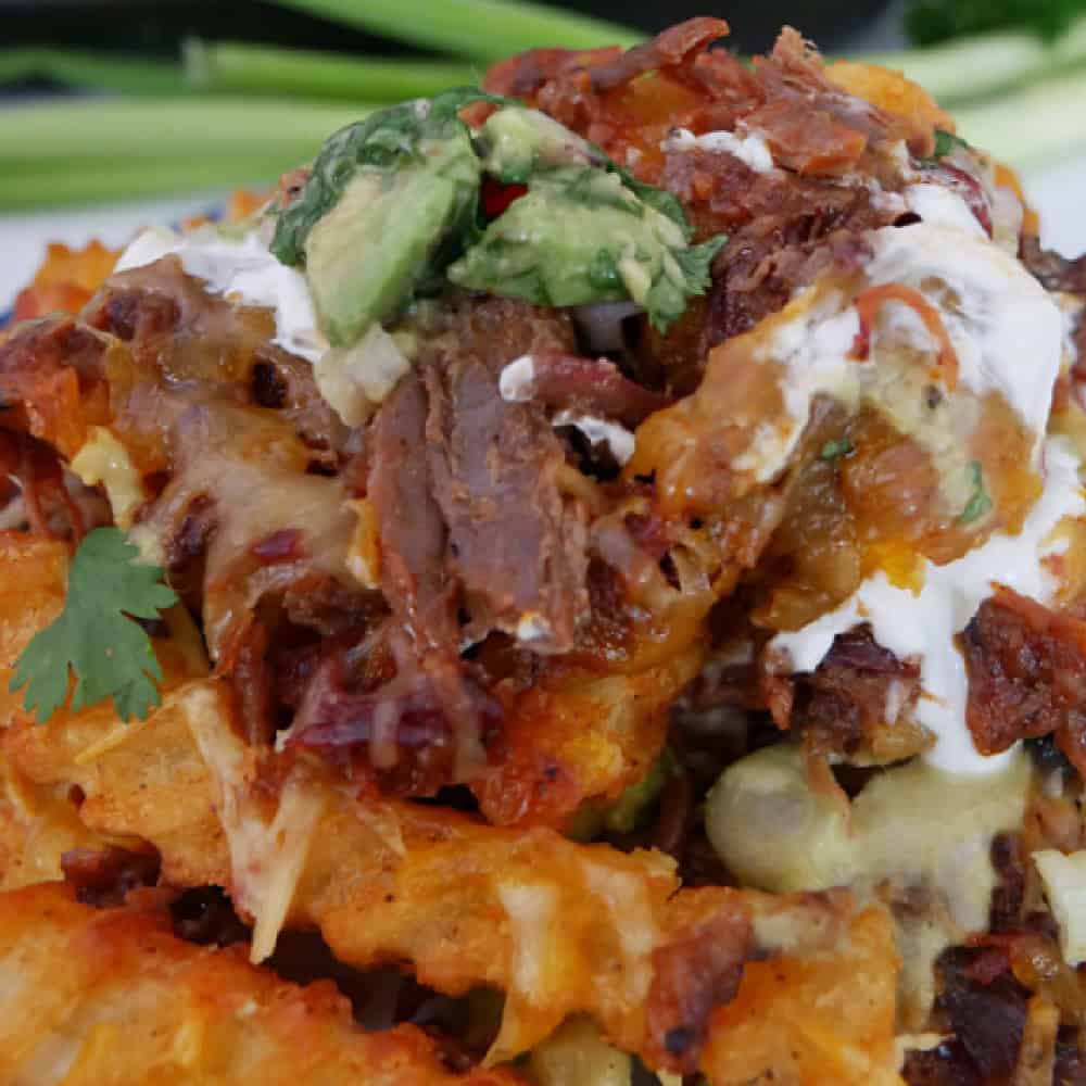 Pulled Pork Loaded Fries - Deliciously Seasoned